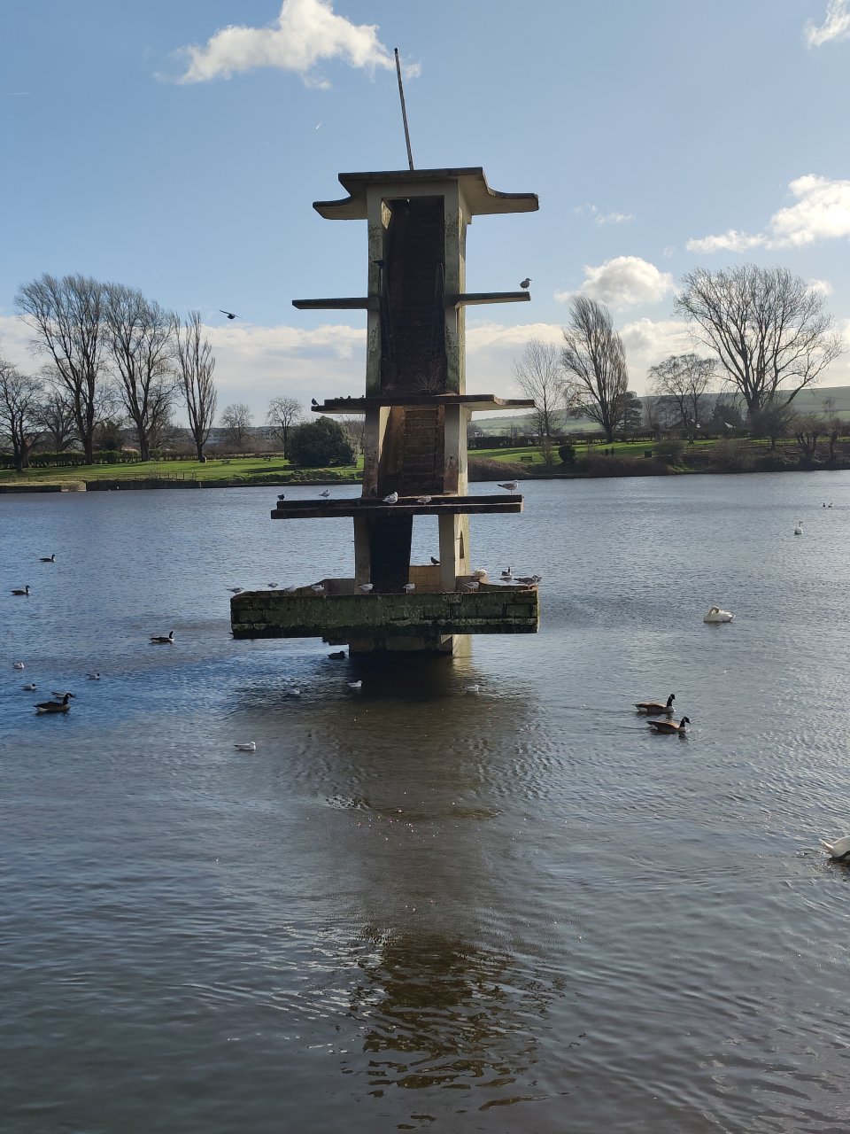 diving board swindon